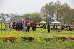 2025 부여세도 방울토마토&유채꽃 축제, 봄의 정취 속에 성료